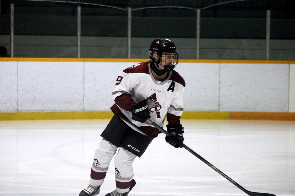 Shearer gaining confidence on Cougars blue-line | American Collegiate ...