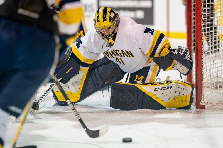 Five ACHA Players To Watch This Season | American Collegiate Hockey ...