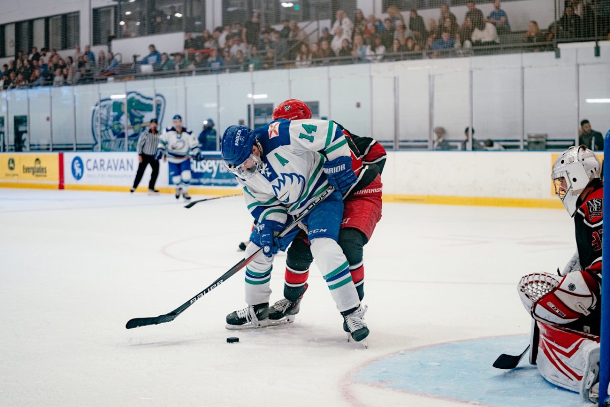 FGCU Hockey Sweeps Rival Liberty to Stay on Top of ACHA DII Southeast ...