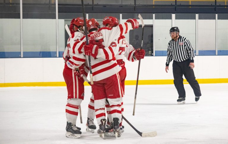 New Era: Stony Brook hockey hopes to spark program turnaround in 2024-25 | American Collegiate ...