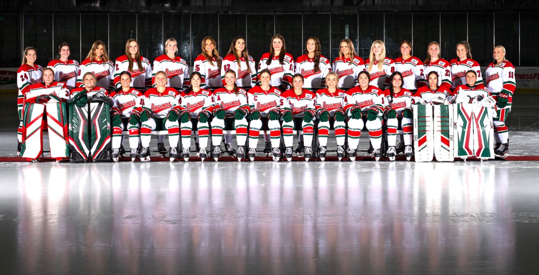 Women’s hockey team hopes to finish what was started | American Collegiate Hockey Association (ACHA)