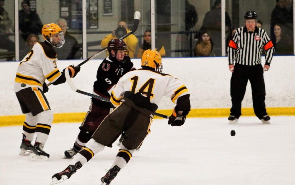 Rowan Ice Hockey gets senior night win against Rider | American ...